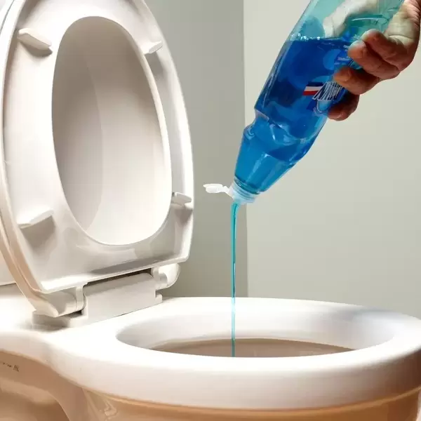 5 Ways You Can Unclog the Toilet Bowl Without a Plunger News The Handyman Group